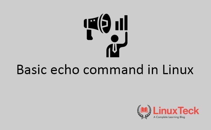 Learn The Basics Of The 13 Echo Command In Linux For New Users