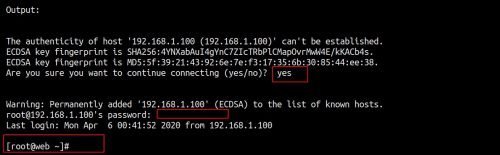 10 Basic And Most Useful 'ssh' Client Commands In Linux | LinuxTeck