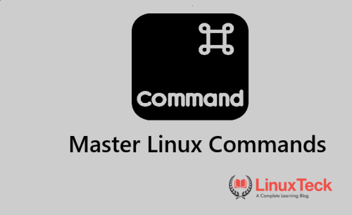 50 Powerful Linux Commands You Must Know (With Examples) | LinuxTeck